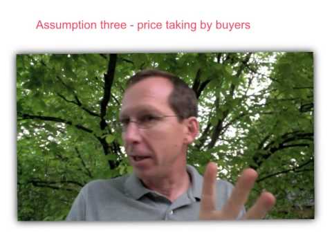 3b - Assumptions for the perfectly competitive market model