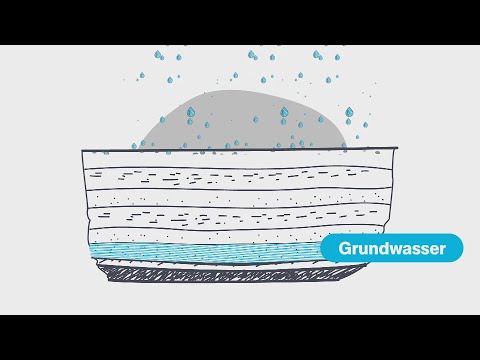 Warum Grundwasser so wichtig ist - logo! erklärt - ZDFtivi