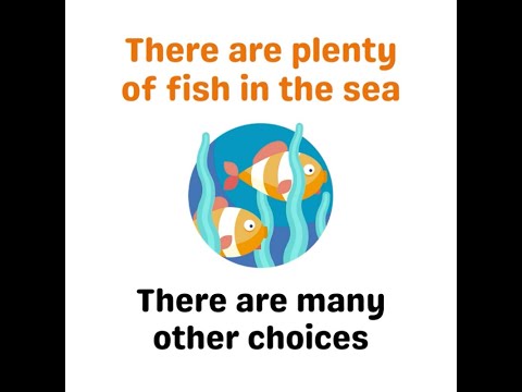 Idiom: There are plenty of fish in the sea (meaning, examples)