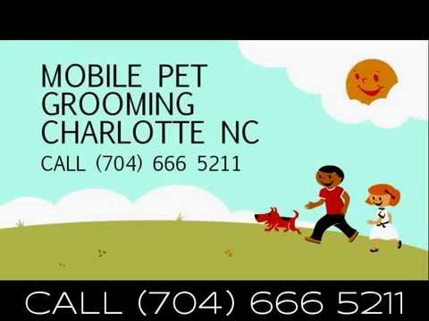 Mobile Pet Grooming Charlotte NC | Mobile Dog Grooming Charlotte NC