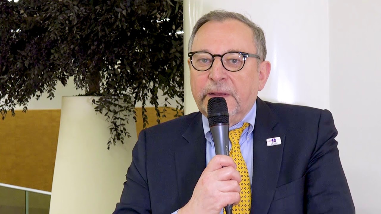 A KEYNOTE on PD-L1 as a predictive biomarker of immunotherapy response: a complex picture