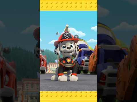 Marshall visits Builder Cove! #shorts