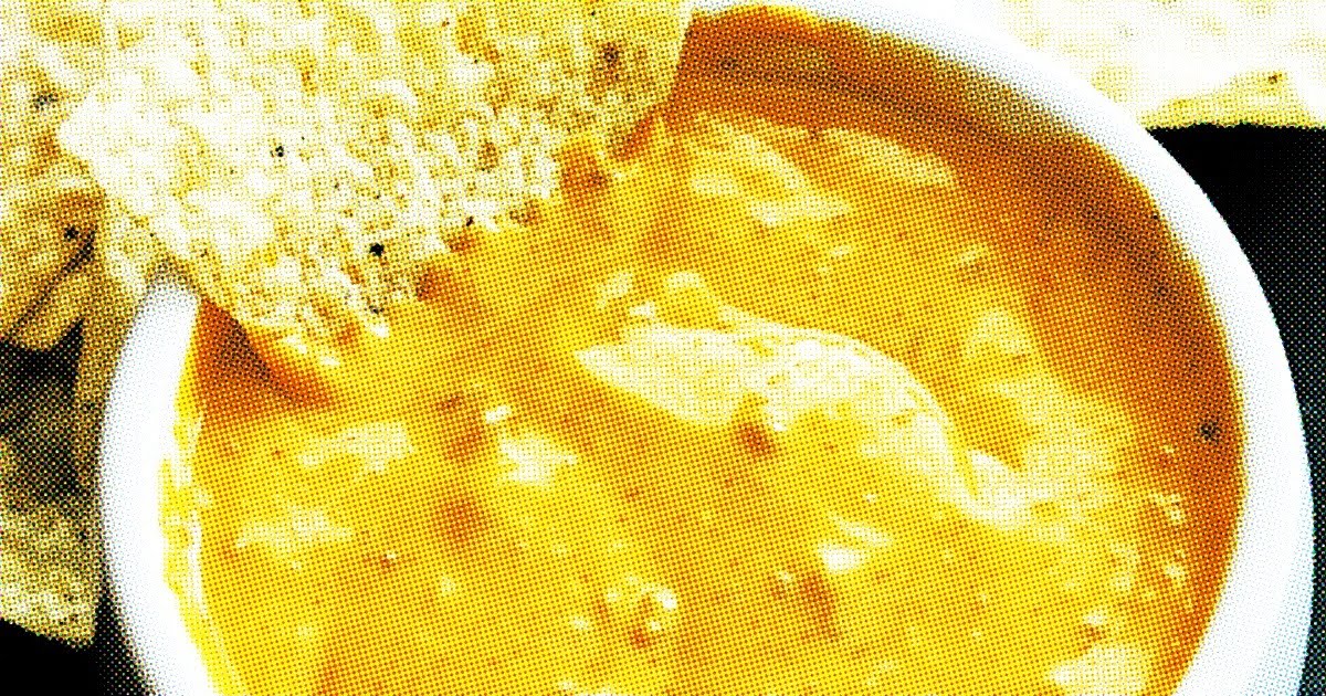 17 Ooey Gooey Recipes for Cheese Lovers 😋 ...