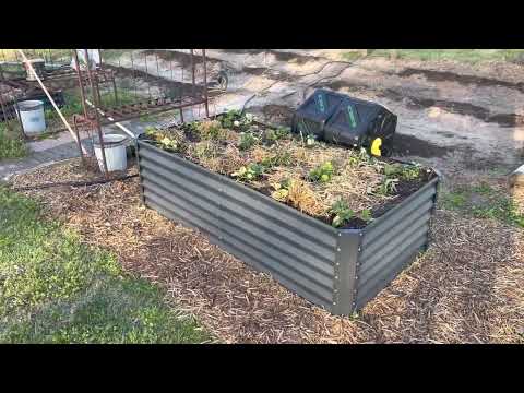 An Easy to Assemble Raised Garden Bed You Can Buy on Amazon - Best Choice Products