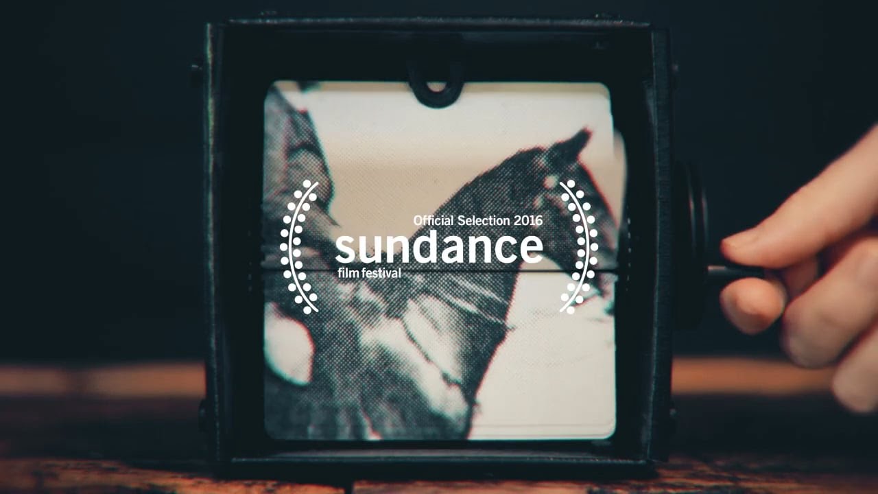 Hand-Drawn Versus Computer: Three Innovative Animators Explain Why It Makes All the Difference