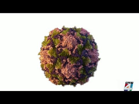 Infectious disease doctor explains impact of 1st US case of polio in decades