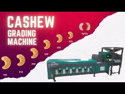 Kaju Grading Machine - Cashew Nut Grading Machine Latest Price ...