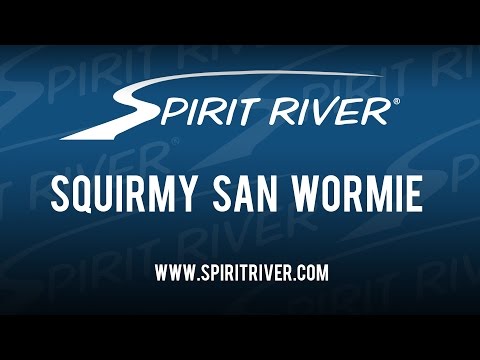 All Wired Squirmy Wormie