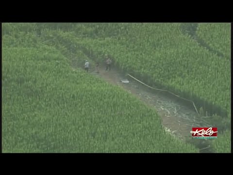 Pilot of crop-dusting helicopter killed in Minnesota crash