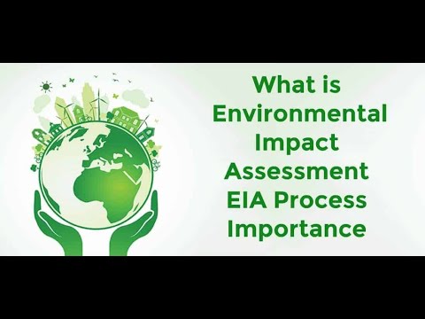 What are the types of environmental impact assessment? – Eduindex