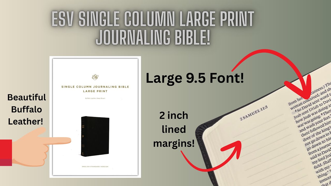 Is This the Perfect Journaling Bible?
