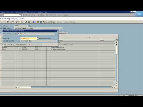 SAP Transactions for securing custom tables