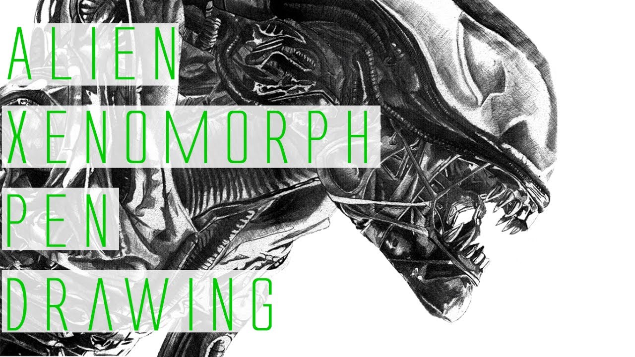 Alien Xenomorph pen drawing