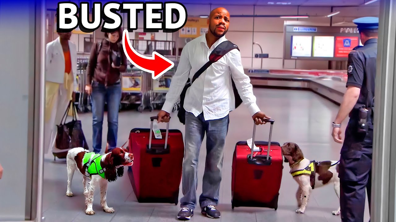 Airport Sniffer Dogs EXPOSE Every Dr*g Smuggler!
