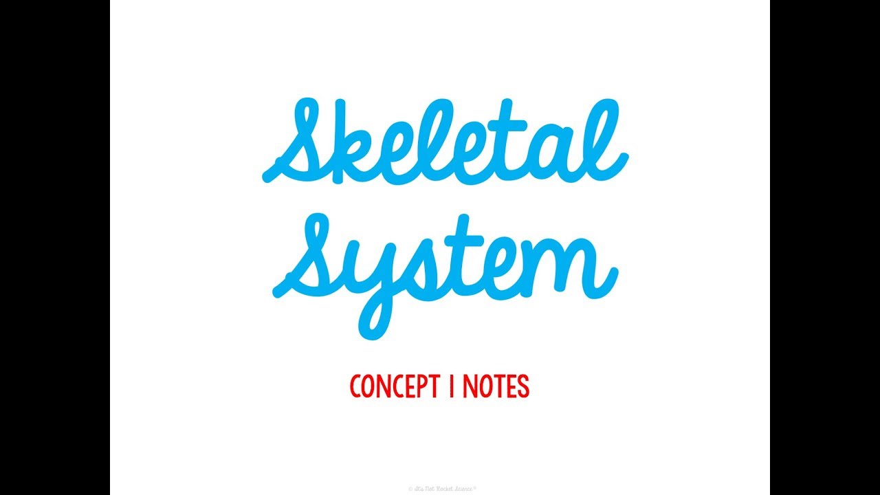 Unit 2 Support and Motion Concept 1 Notes