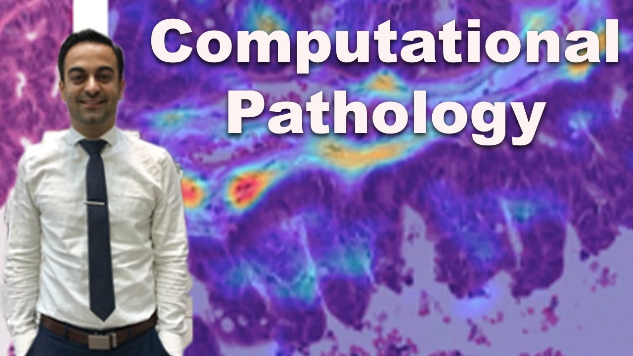 Deep Learning-Based Computational Tools for Digital Pathology