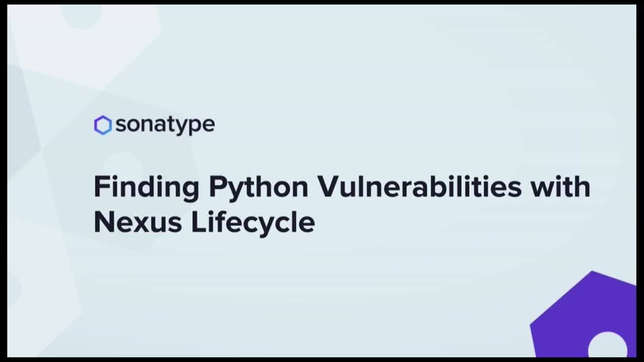 Finding Python Vulnerabilities with Nexus Lifecycle
