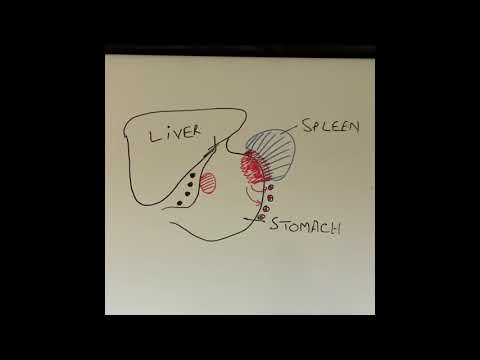 S2E5 Difference between Benign and Malignant Tumours