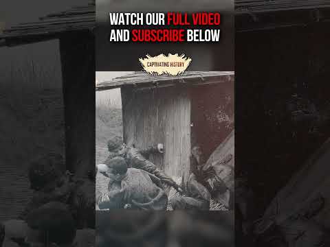 How Did the Gangs' Dominance in NYC End? #shorts