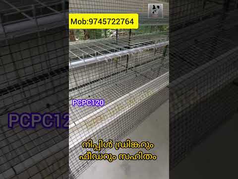120 കോഴിക്കുള്ള hitech കൂട് #poultry #hitech