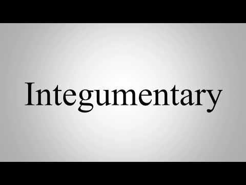 Learn How To Pronounce Integumentary