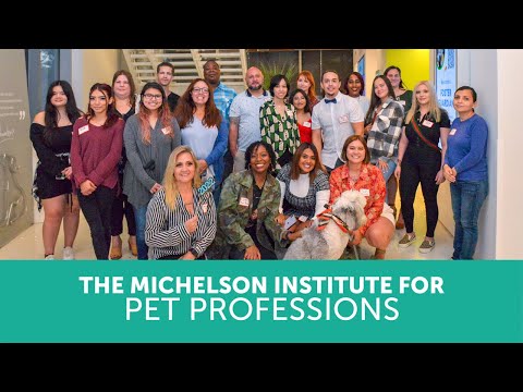 LA Pet Grooming Training, Celebrates 100 Students Enrolled in MIPP's Program in 2022