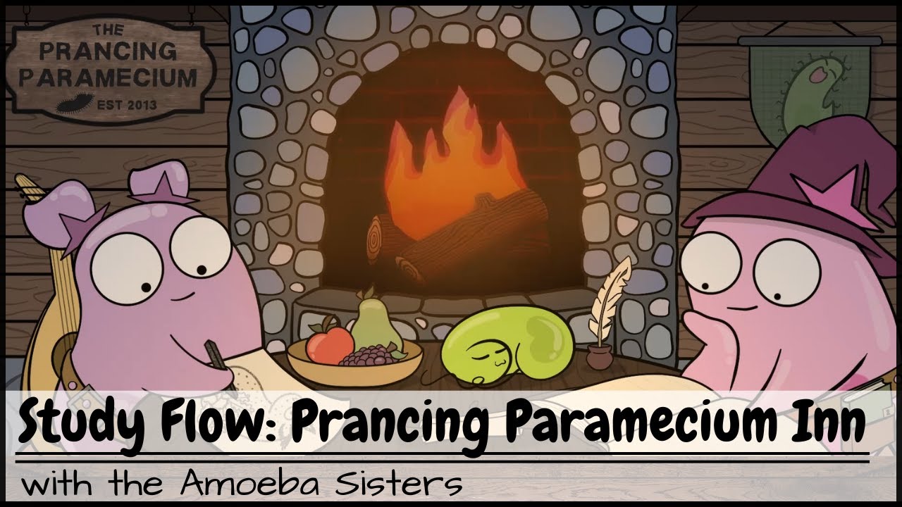 Study Flow: Amoeba Sisters Prancing Paramecium Study Video - 40 Minutes