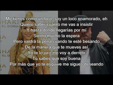 SHAKIRA - Perro Fiel ft. NICKY JAM [Simple LYRICS] + ENGLISH SUBTITLES (2017)