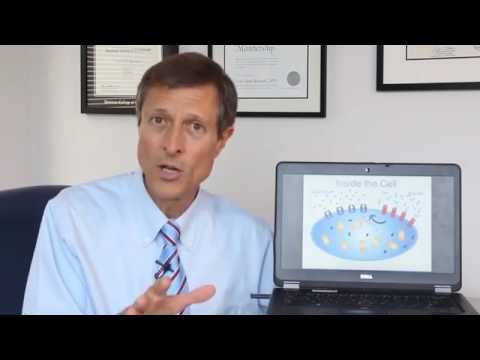 Dr. Neal Barnard Explains How Dietary Fat Leads To Type 2 Diabetes ...