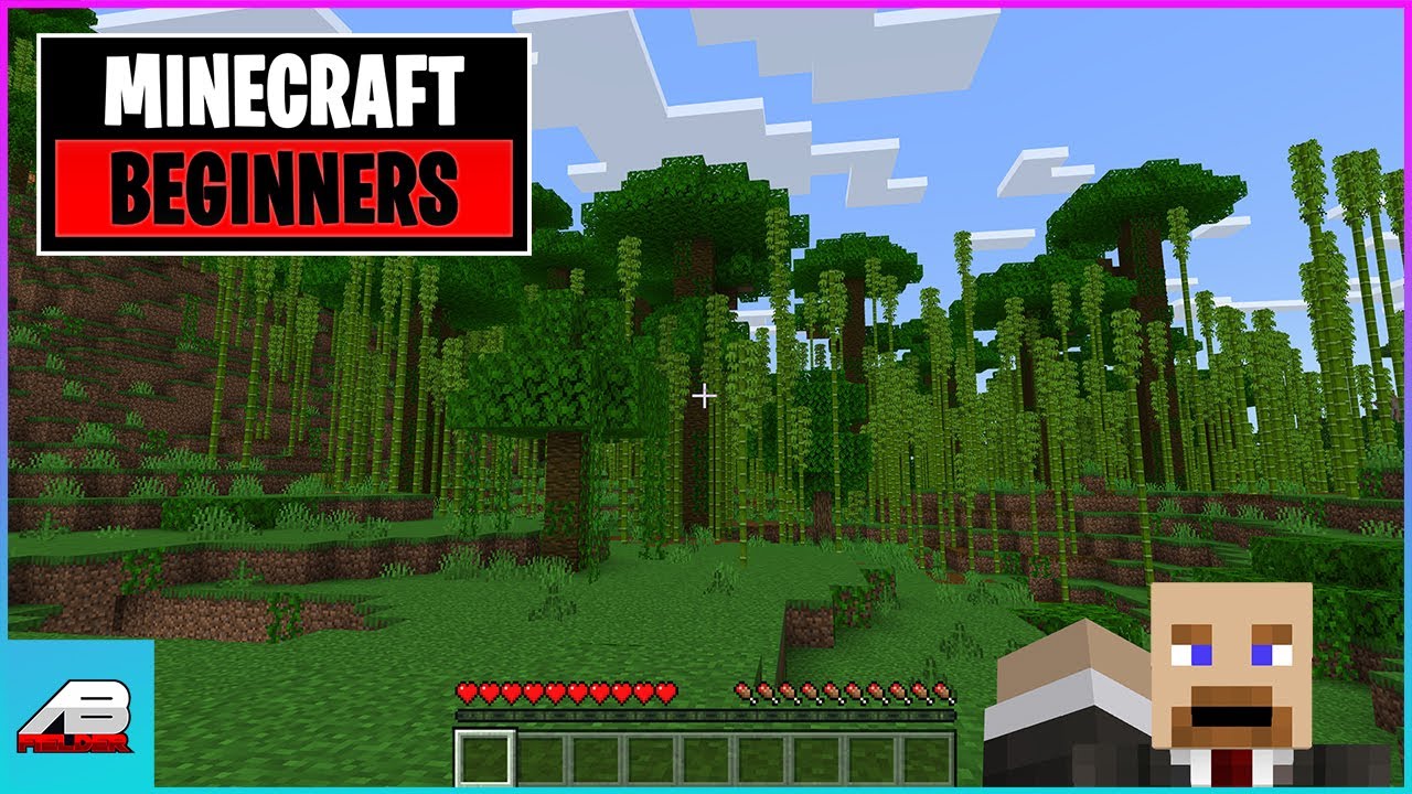 Minecraft Beginners Guide for Parents and Children Nintendo Switch Playstation xBox Bedrock