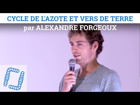 Cycle de l'Azote et Vers de Terre - Alexandre FORGEOUX