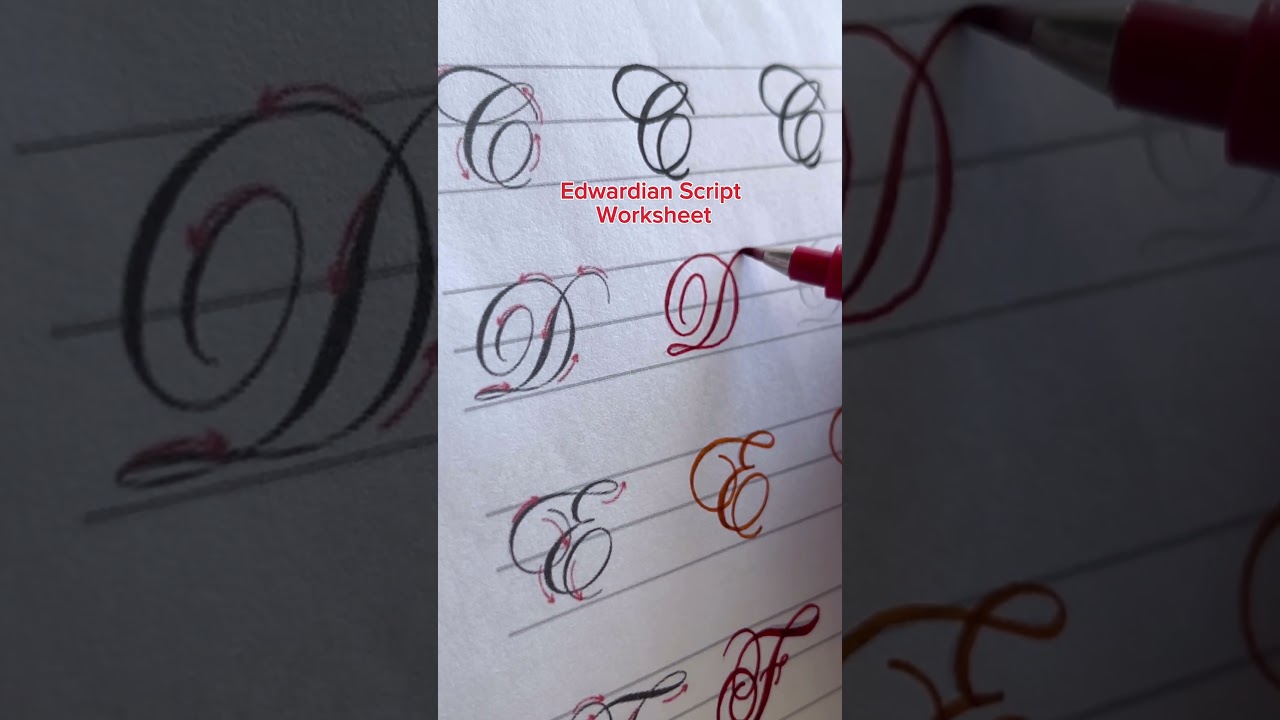 Edwardian Script Worksheet #calligraphy #lettering #reels #tutorial #handlettering #fypシ゚viralシ