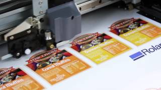 Roland Cut Studio Help - holidayxam