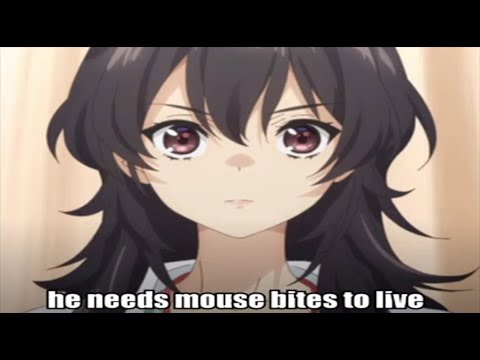 every episode of "Ameku MD: Doctor Detective"