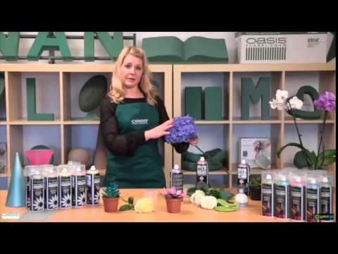 FloraLife® Aqua Colors Extended Collection