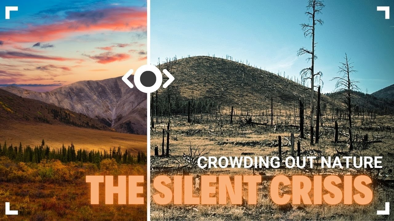 How Human Population Growth Is Devastating Wildlife Habitats – The Silent Crisis #populationgrowth