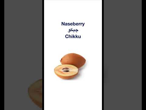 Naseberry means in Urdu and Hindi is chiku @H2sev #howtospeakenglish #vocabulary #dailyword