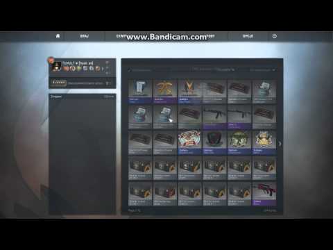 Steam Community :: Video :: CS:GO: EMS Katowice 2014 Sticker - Capsule ...