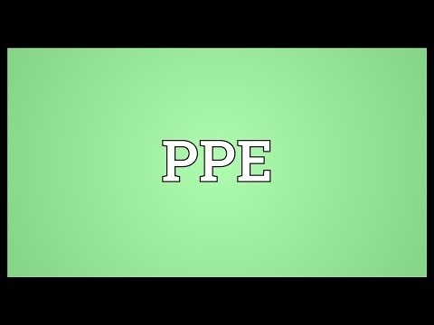 PPE Meaning