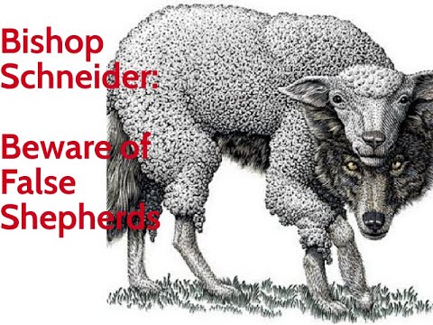 Beware False Shepherds | Bishop Athanasius Schneider – RETURN TO TRADITION
