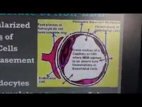Human Blood Barriers - Circumventricular Organs Part 1 - Sanjoy Sanyal