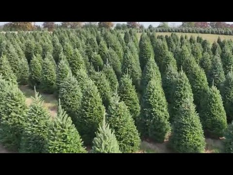 Timbuk Farms open for business