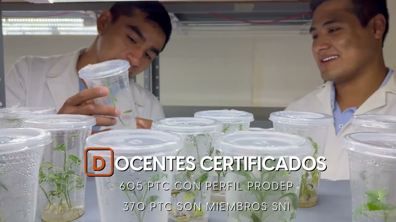 VIDEO INSTITUCIONAL UAT 2024
