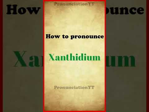 How to pronounce Xanthidium