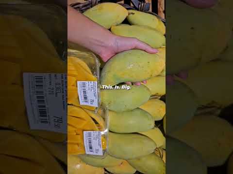 THIS. IS. BIG. PICKED THE BIGGEST! MANGO IN BANGKOK THAILAND. #big #mango #bangkok #thailand
