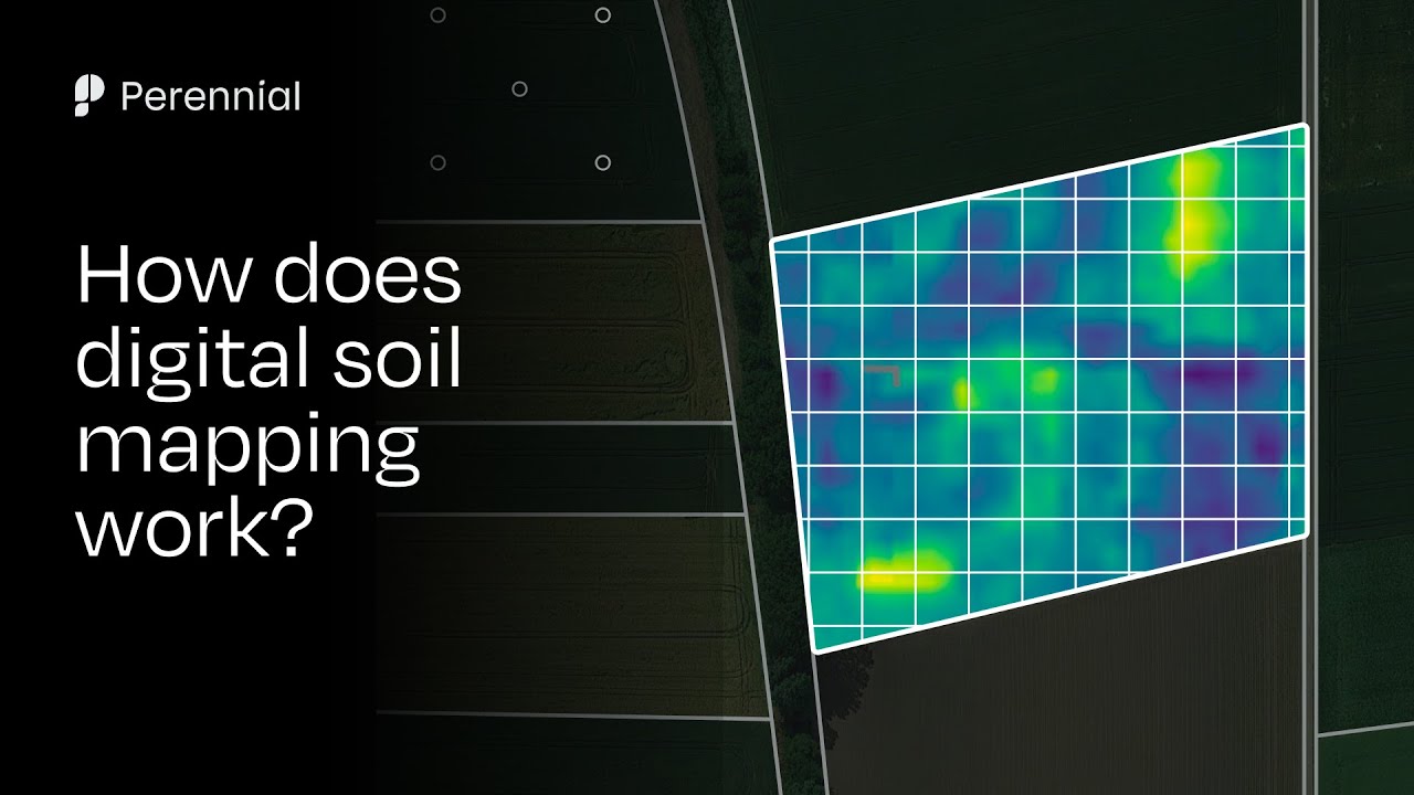 How does digital soil mapping work?