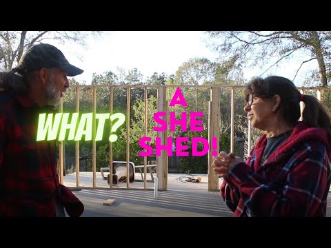 What is Danny Building NOW?  A Homestead SHE SHED? -- Part 1