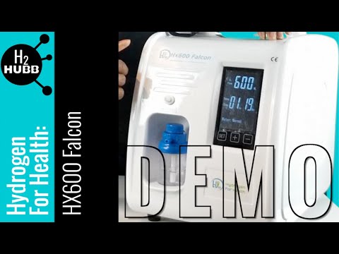 DEMO: HX-600 Falcon - pure H2 gas generator || H2Hubb