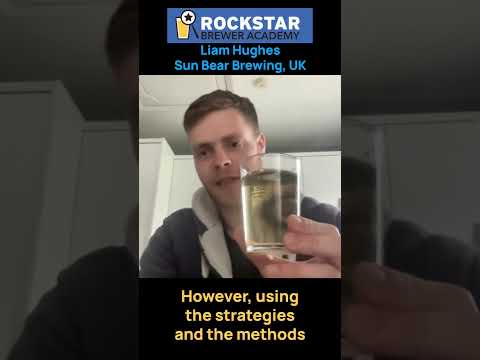 Startup Brewery Success: Meet Liam From Sun Bear Brewing