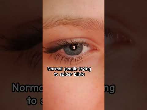 Can you spider blink π· π€?? #spiderblinking #fyp #viral #trend #spider #blinking